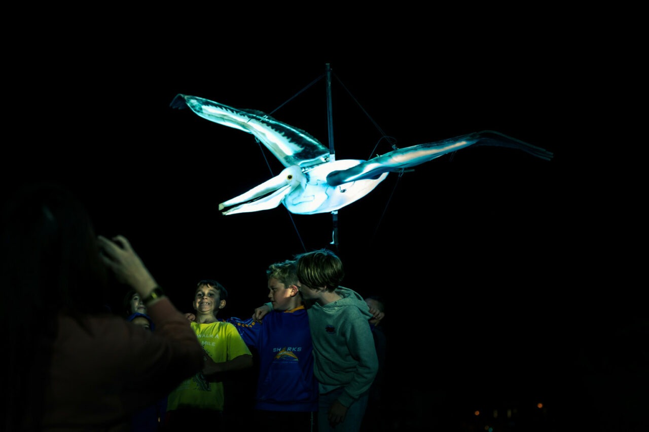 Pelican – Curious Legends