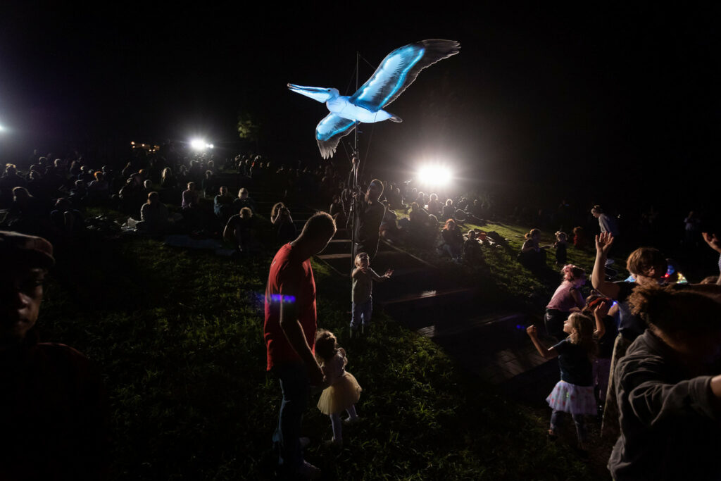 Pelican – Curious Legends