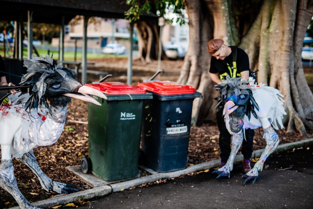 Hatched – Curious Legends