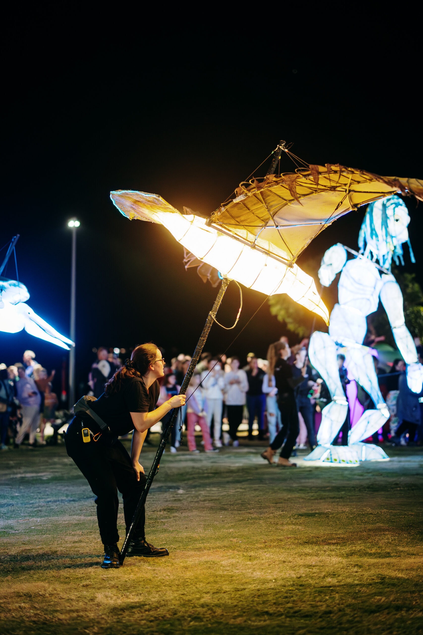 Eagle (Kawul) – Curious Legends