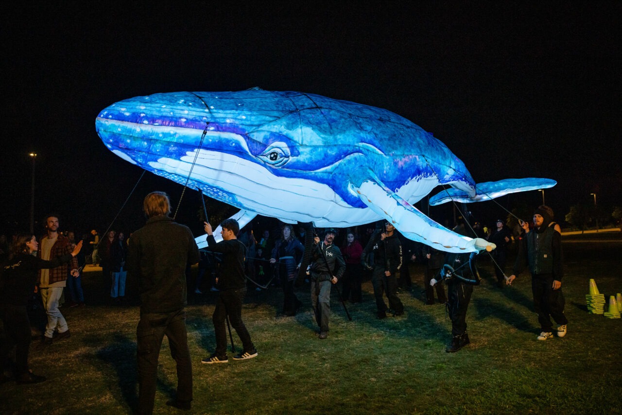 Whale Song – Curious Legends
