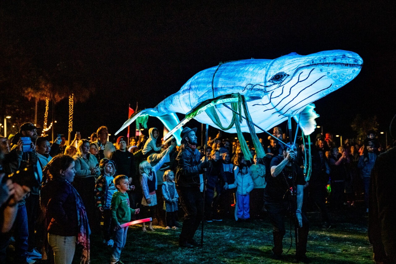 Whale Song – Curious Legends