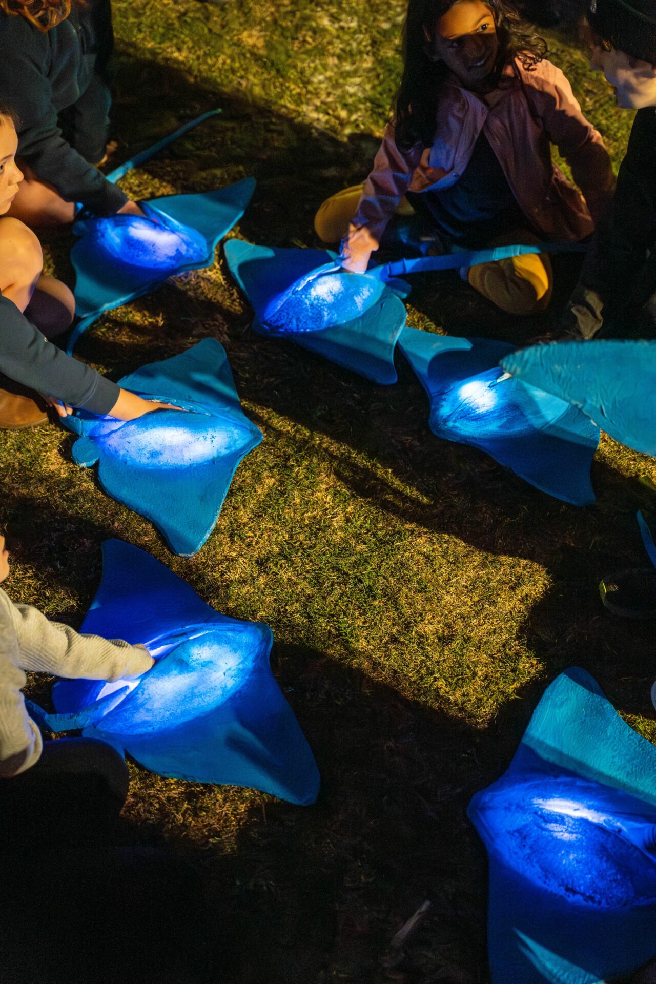 Whale Song – Curious Legends